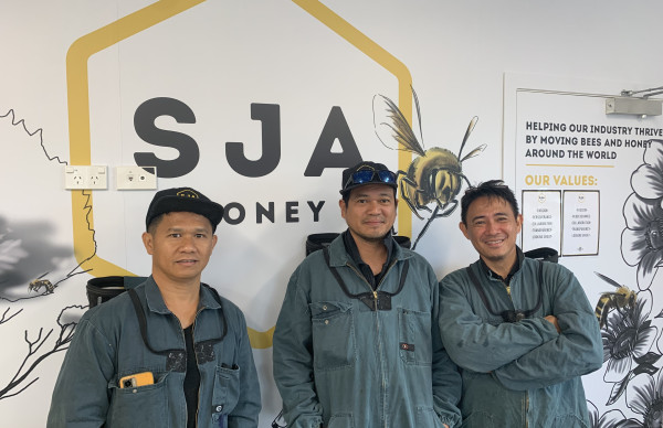 Apprenticeships | Primary ITO