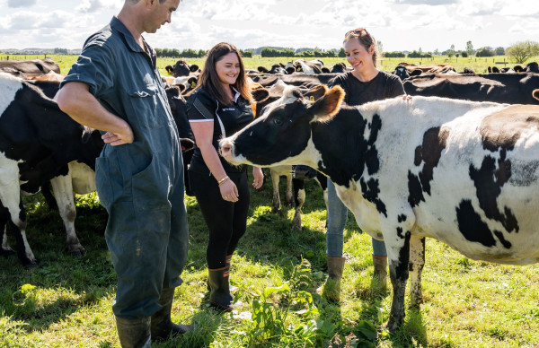Assist with Dairy Farming Mating, Calving and Neonatal Care – Micro ...