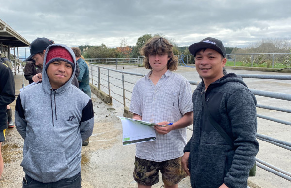 Apprenticeships | Primary ITO