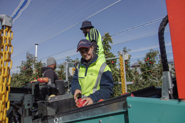 Transform Your Workforce with the New Zealand Apprenticeship in Fruit ...