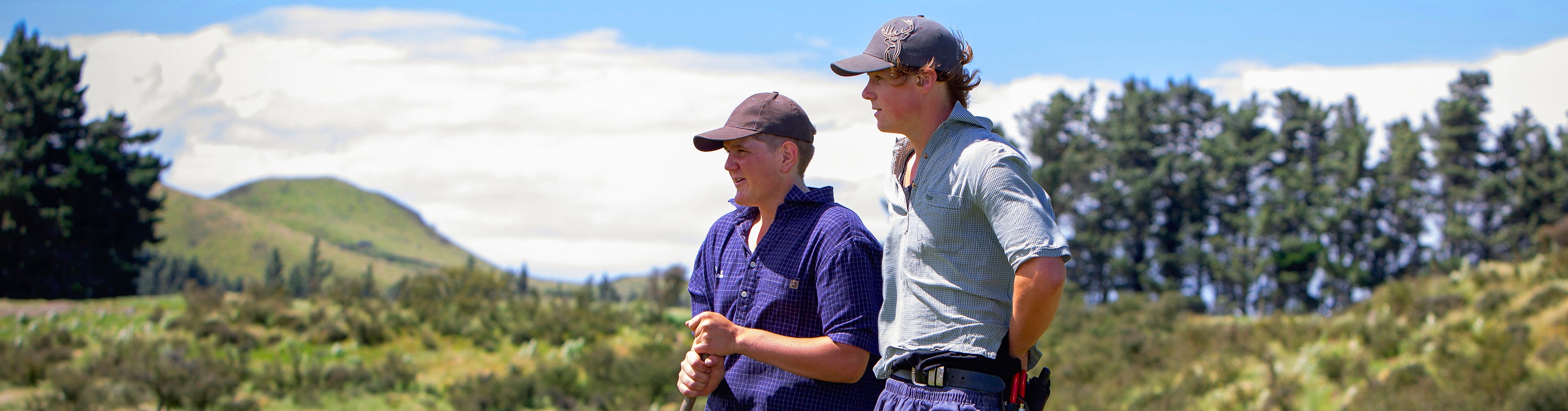 Sheep, Beef and Deer Training with Primary ITO | Primary ITO