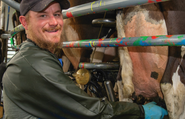 New Dairy Basics Courses | Primary ITO